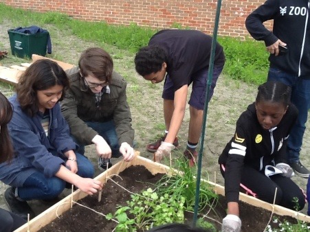 Cranston Public Library Learning Gardens | New England Grassroots ...